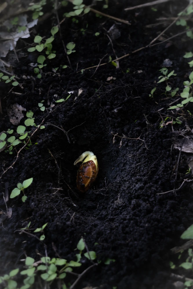 Mi Hogar - Anagaby Arrieta - 5 Sentidos